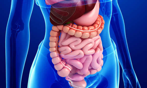 New Panels Introduced for Enteric Pathogens & Gastroenteritis | Aculabs Inc