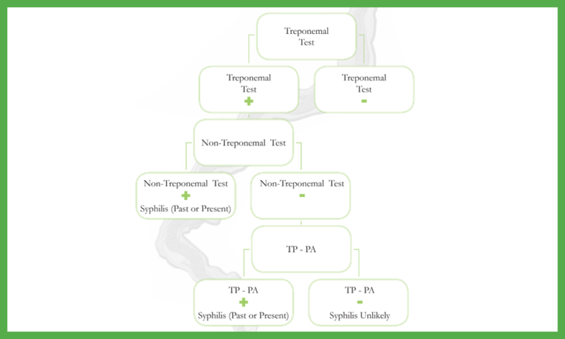 Letter from the Director: Syphilis, Treponema, and Reverse Algorithm ...